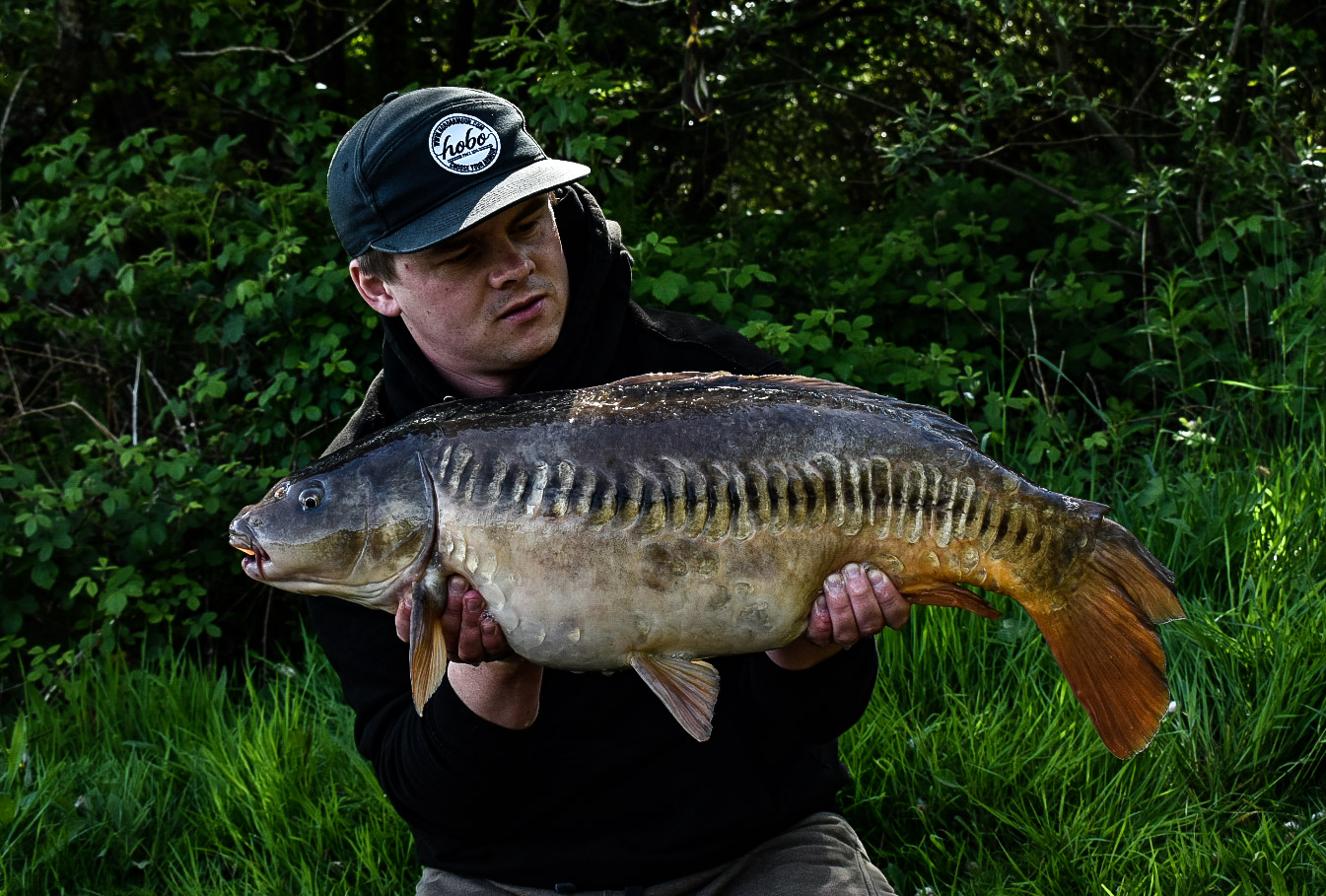 Melbury Linear | Total Carp
